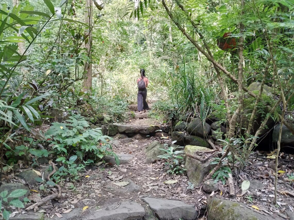 Air Terjun Tersembunyi di Desa Les – BaleBengong