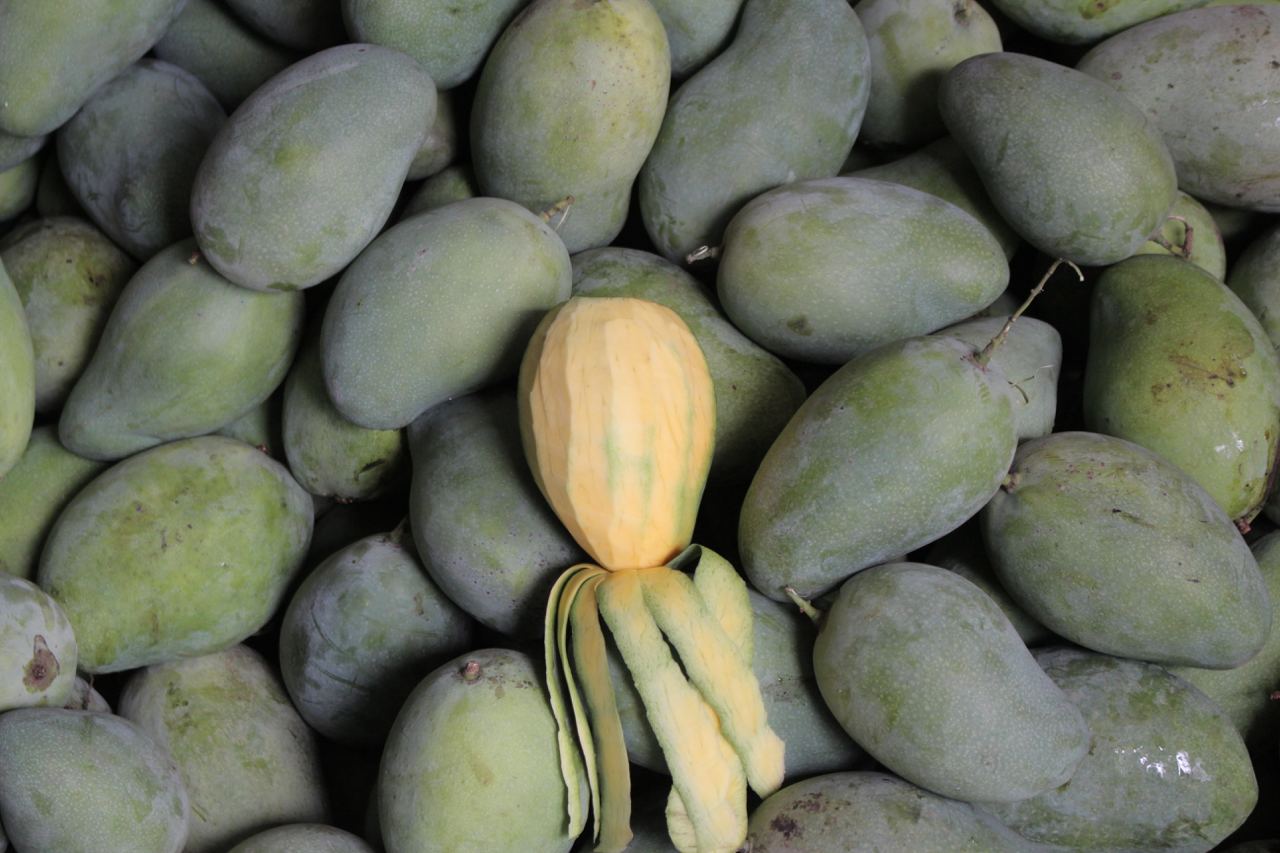 Desa Tembok: Eksplorasi Kebun Mangga Harum Manis dan Arak Mete ...