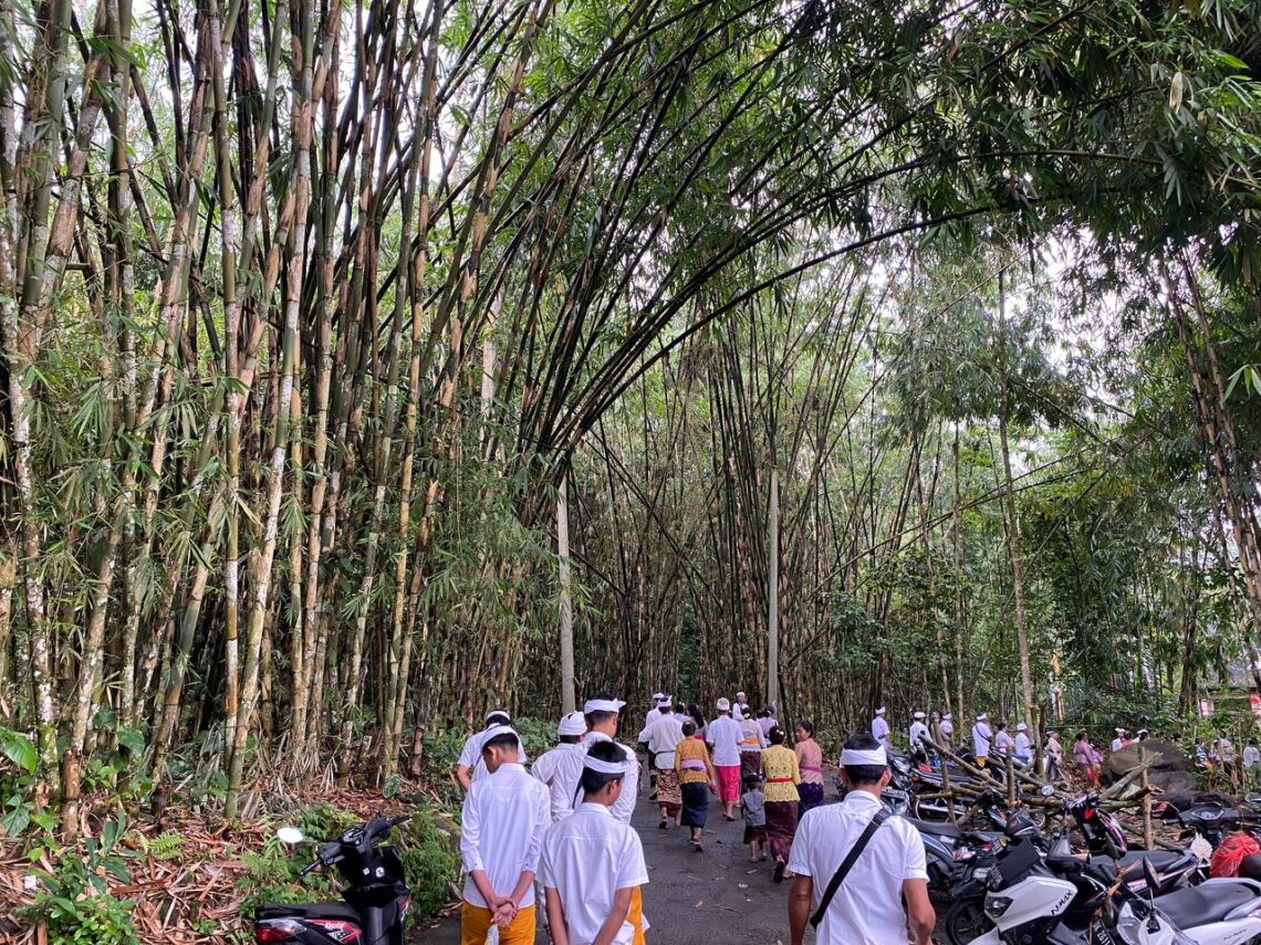 Kerajinan dari Hutan Bambu Geriana Kauh – BaleBengong